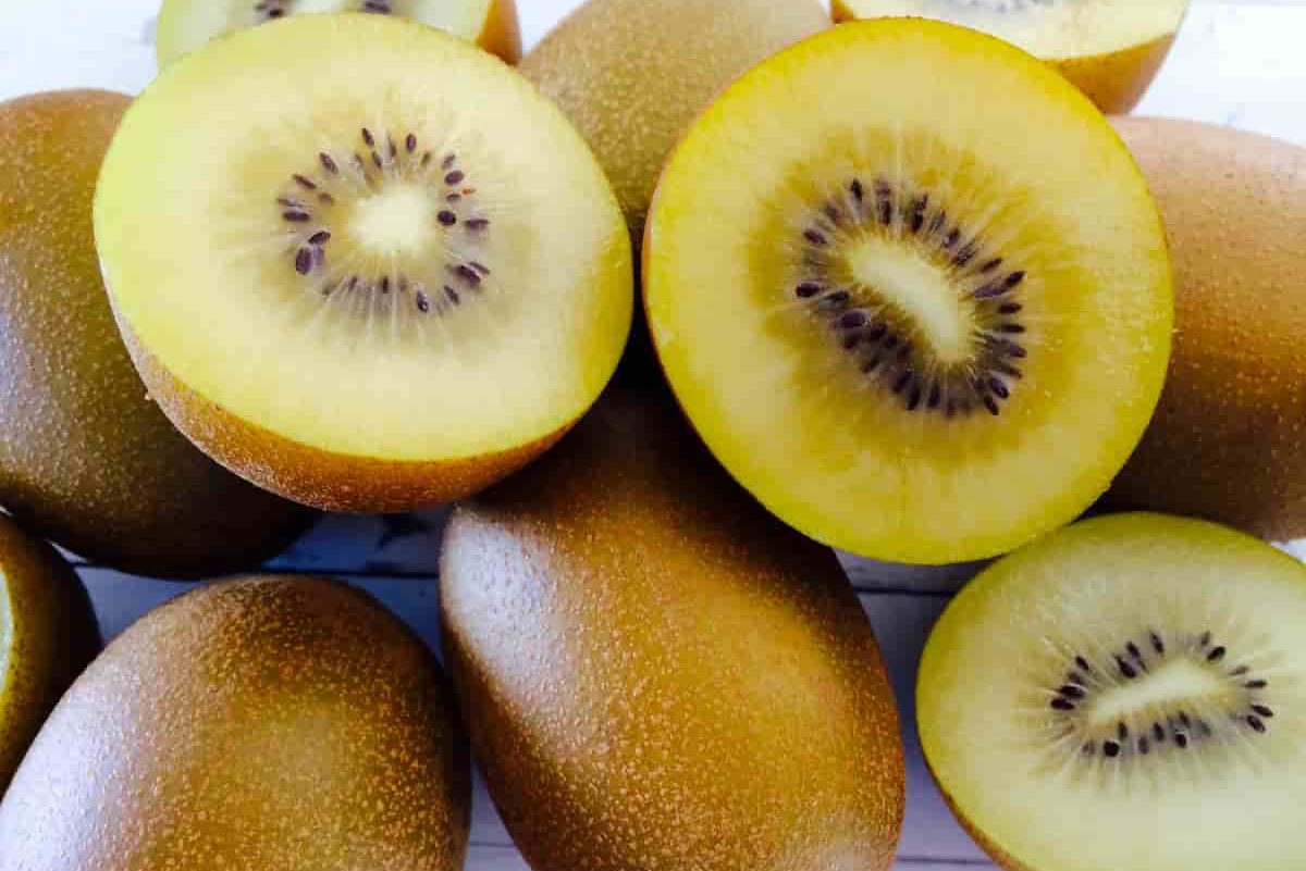 Golden sour kiwi factory price - Ramis